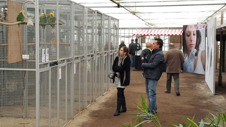 ZO!34 - World of Birds foundation Erica neemt nieuwe voliÃ¨re in gebruik